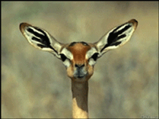 정말 맛깔 나게 먹는 장면 : 유머클럽 : 구라파닷컴