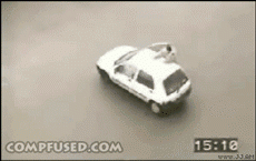 잘 키운 개 한마리...열 경찰 안 부럽군요 : 유머클럽 : 구라파닷컴